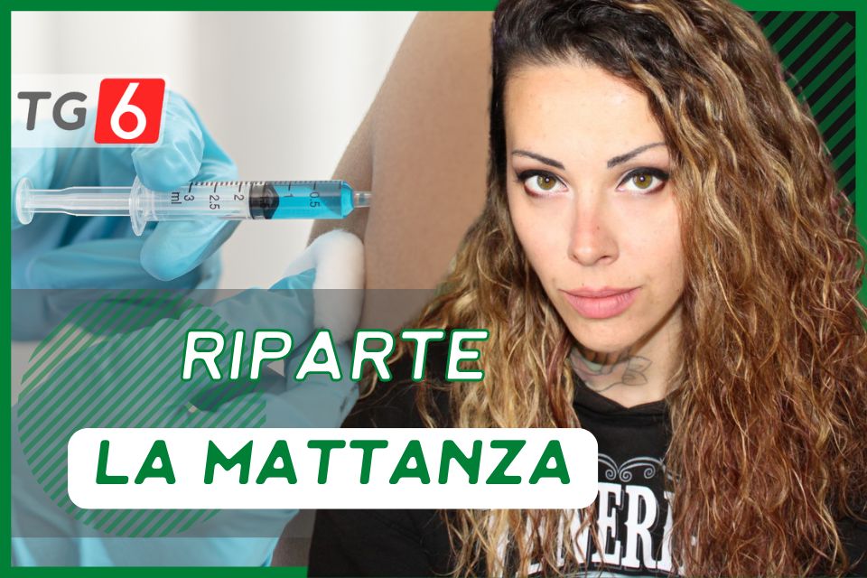 TG6: riparte la mattanza di massa contro la popolazione - Numero6.org