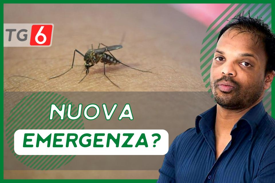TG6: La nuova emergenza estiva? - Numero6.org